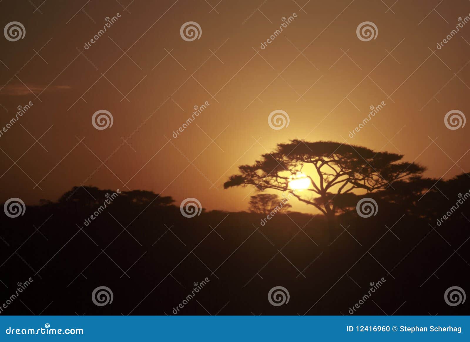 Sunset, Tanzania stock photo. Image of panoramic, view - 12416960