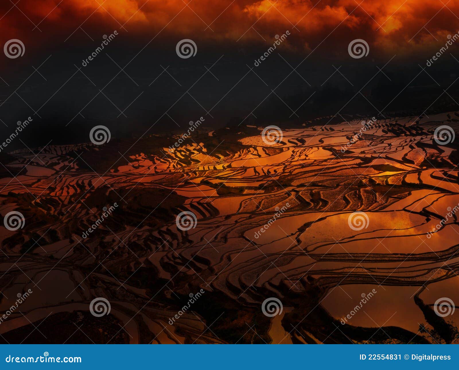 Sunset at Terraced Rice Fields, China Stock Image - Image of nature ...