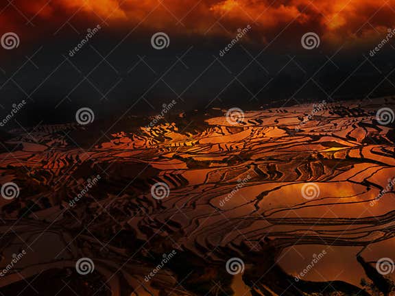 Sunset at Terraced Rice Fields, China Stock Image - Image of nature ...
