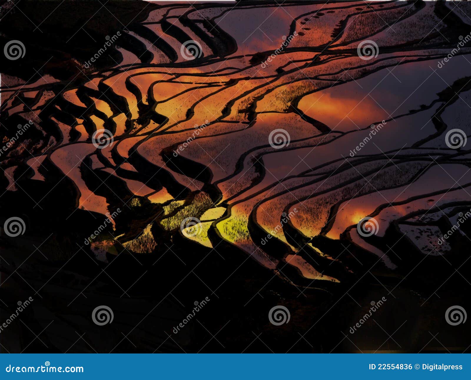 Sunset at Terraced Rice Fields, China Stock Photo - Image of tranquil ...