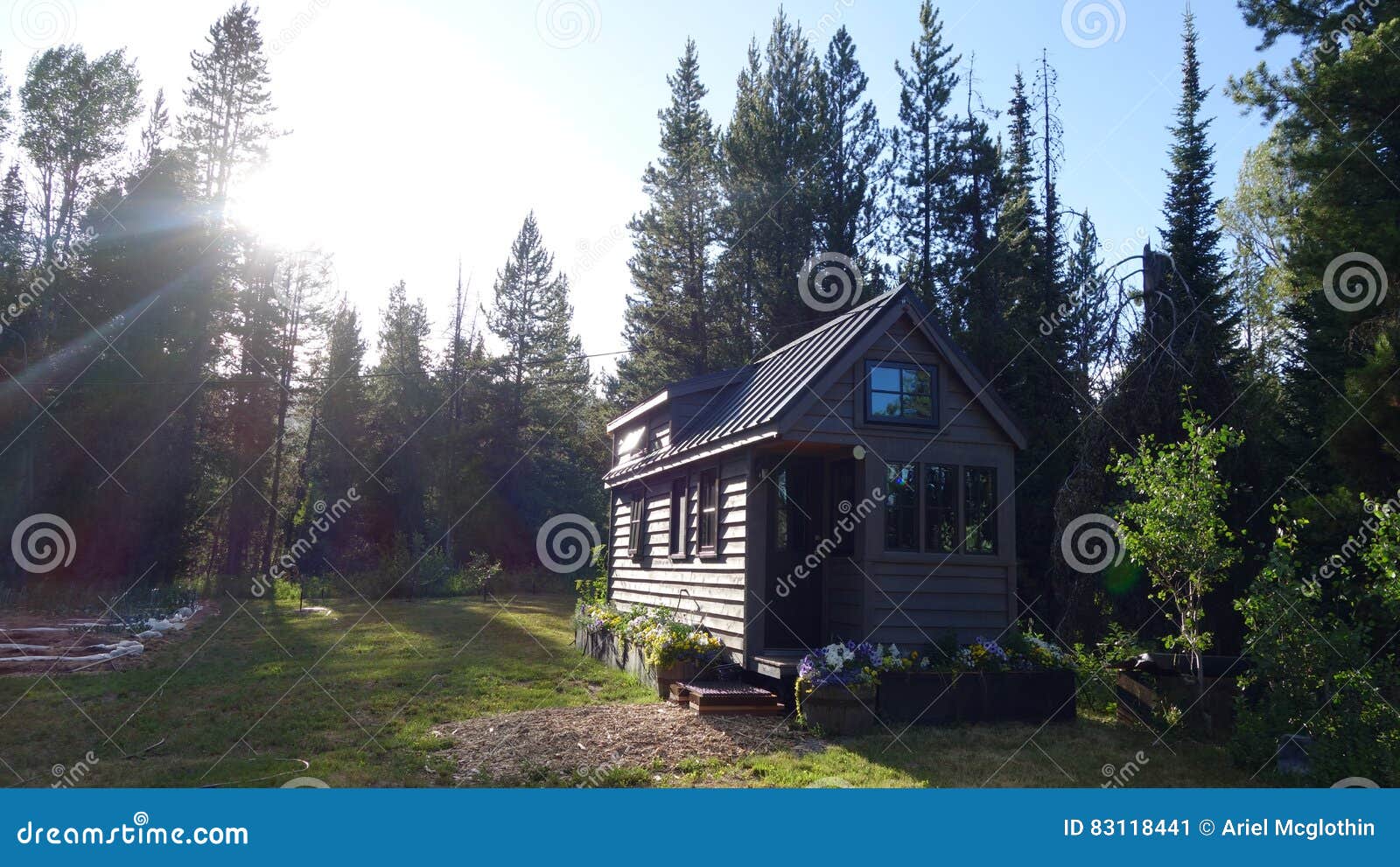 Sunset Tiny House stock image. Image of build, pine, isolated - 83118441