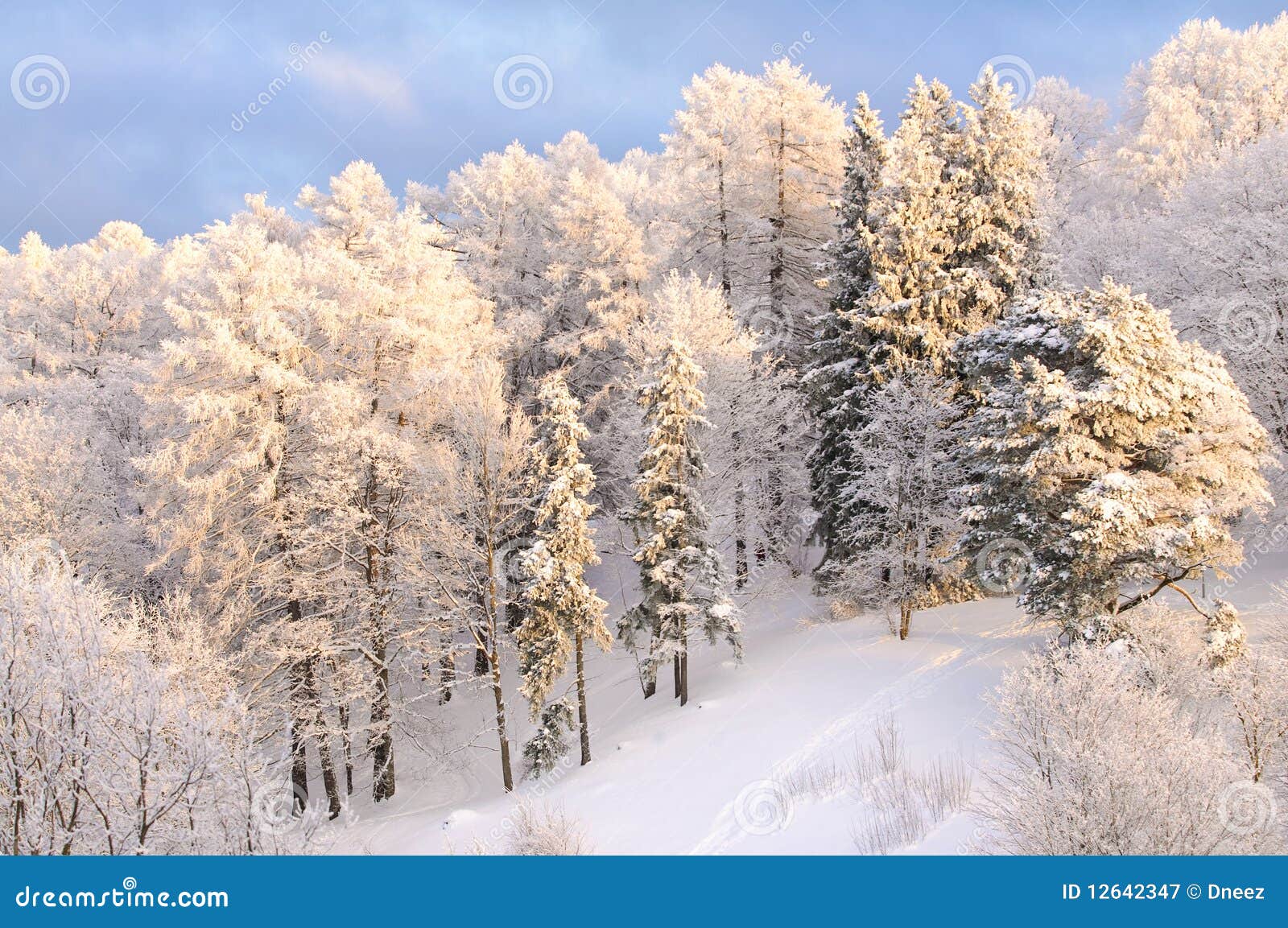 Sunset in Toila-Oru park. stock image. Image of sunset - 12642347