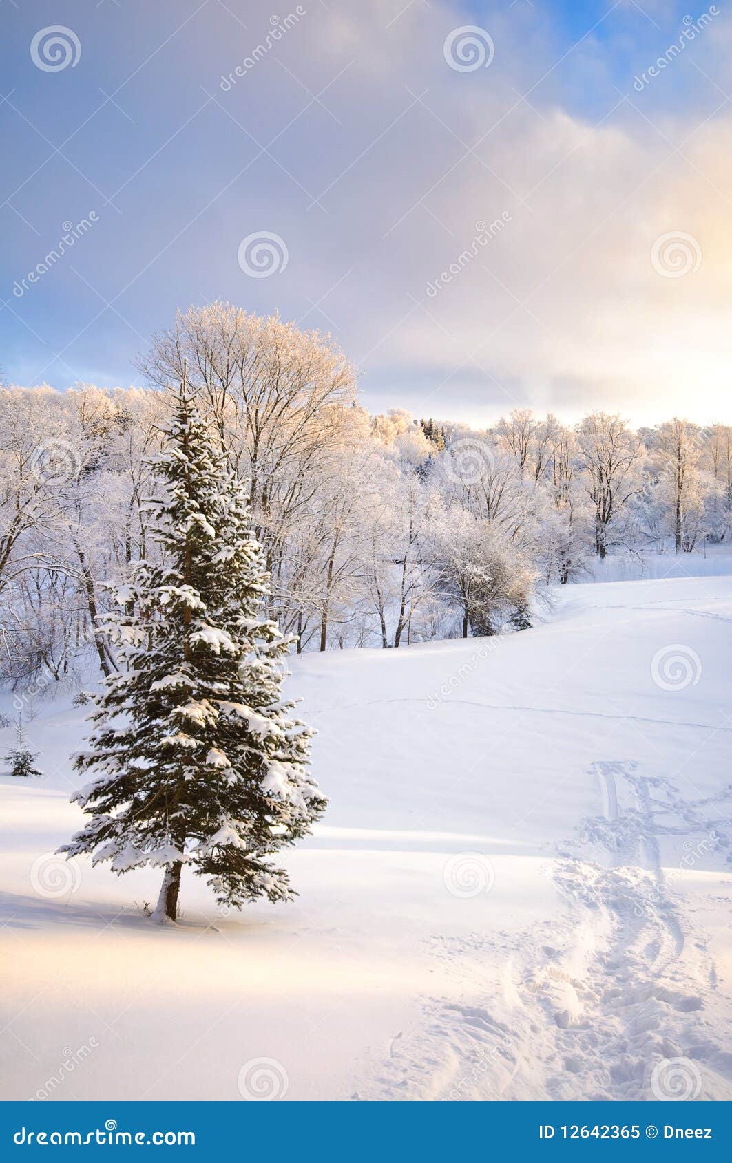 Sunset in Toila-Oru park. stock image. Image of sunlight - 12642365