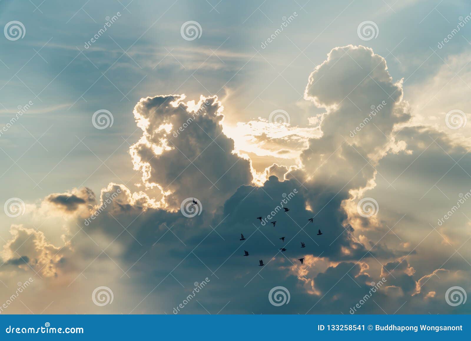 Sunset with Towering Cumulus Clouds and a Flock of Bird in the F Stock ...
