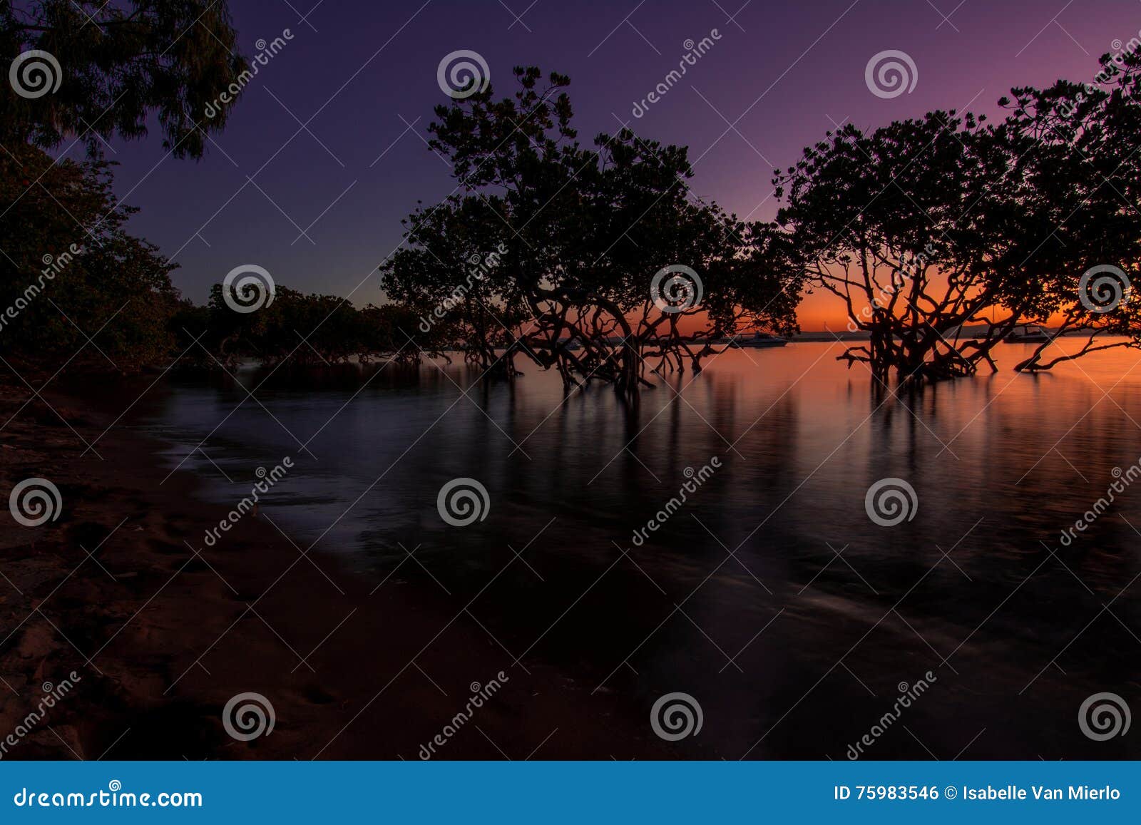 1770 Sunset stock photo. Image of agnes, water, twilight - 75983546