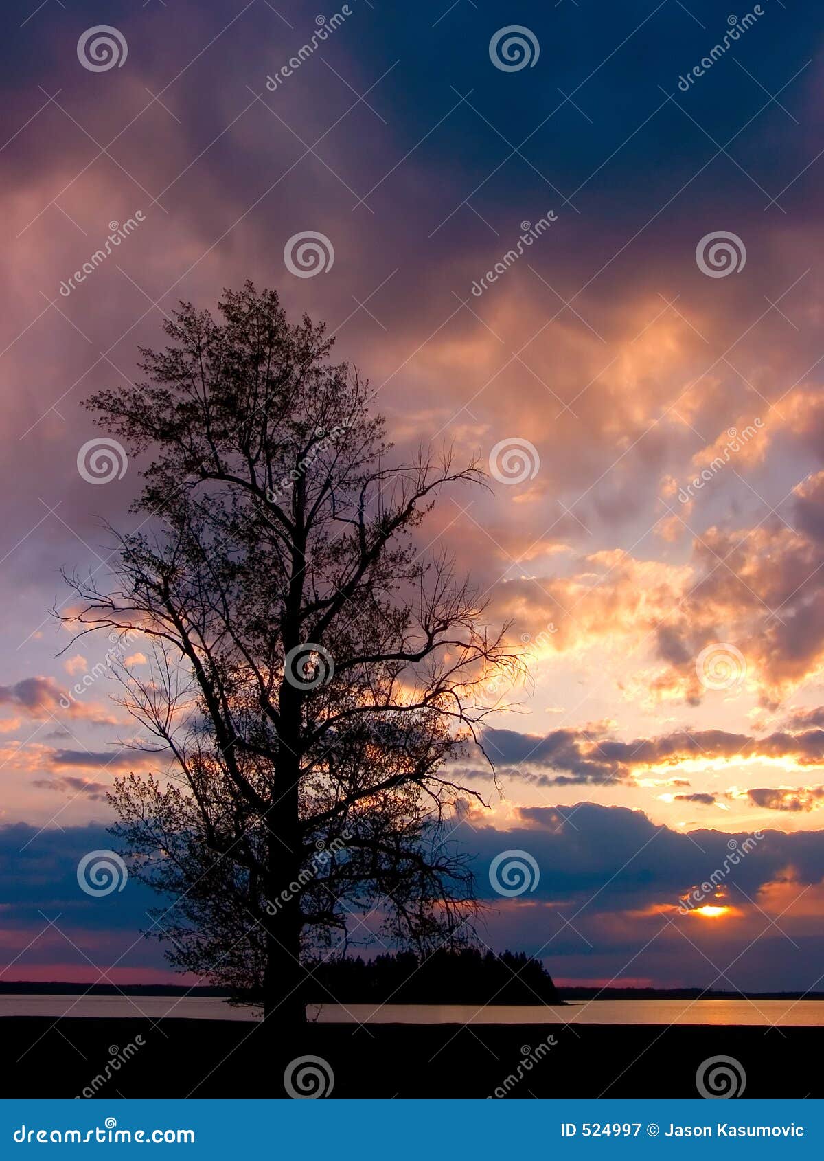 Sunset Tree stock image. Image of pretty, national, park - 524997