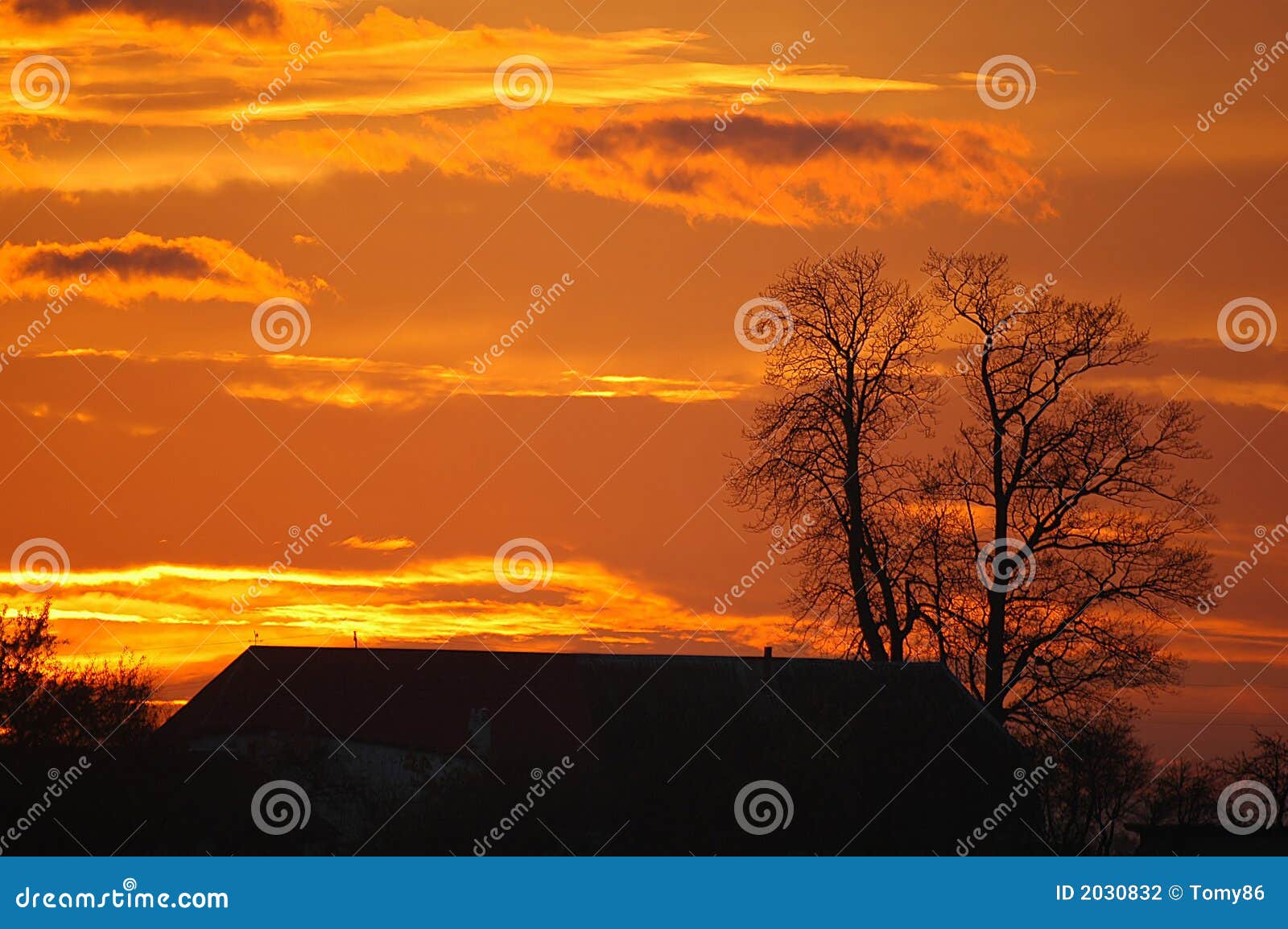 Sunset with Tree Background Stock Photo - Image of silhouetted, magical ...