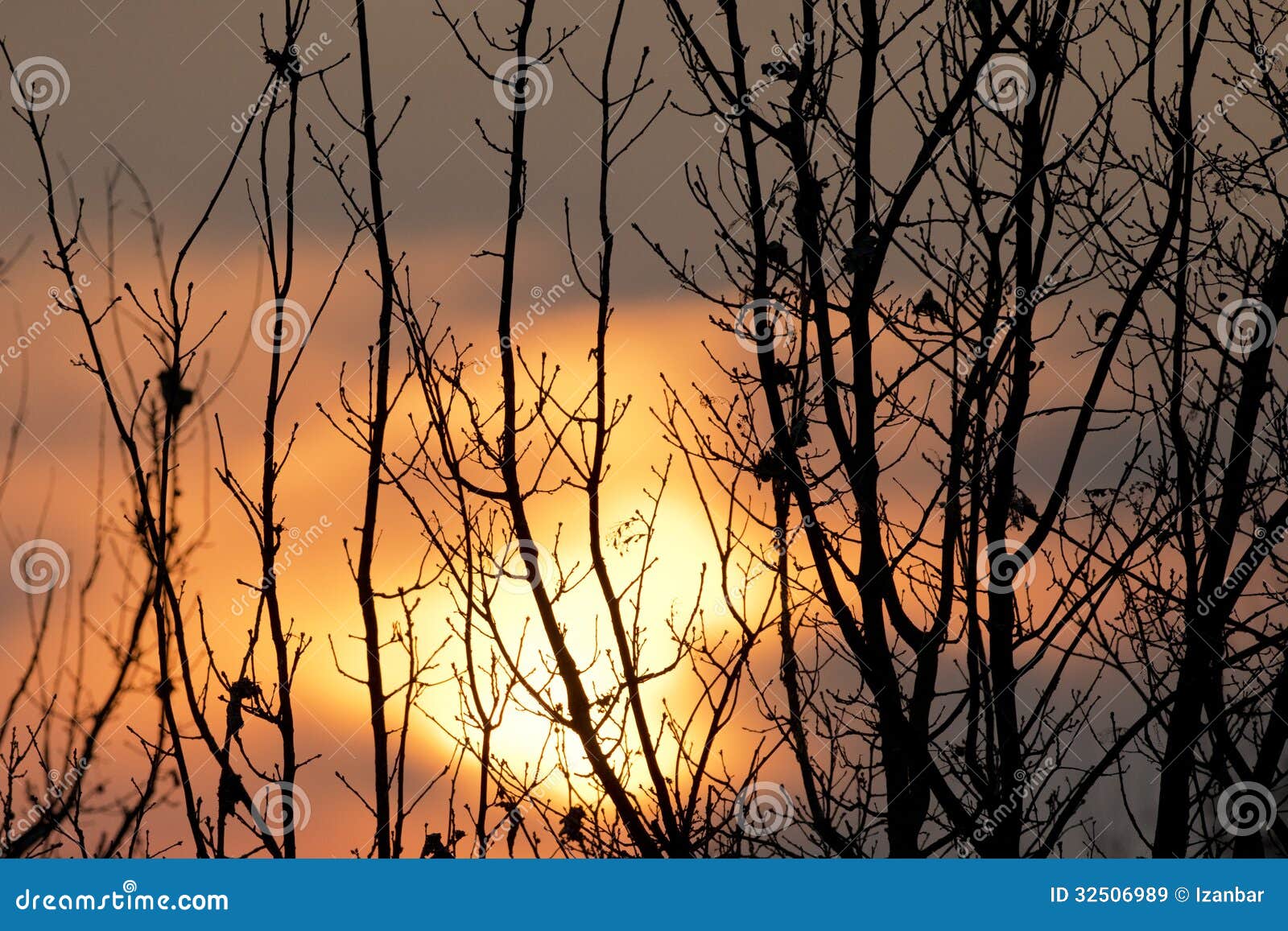 A Sunset through Tree Branches Stock Image - Image of sunset, tree ...