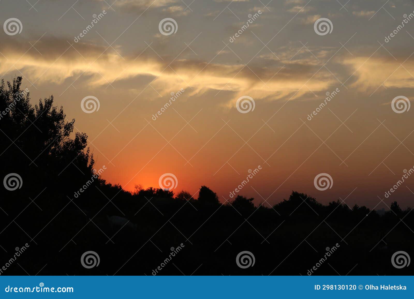 A Sunset with a Tree in the Foreground and a Skyline Stock Photo ...