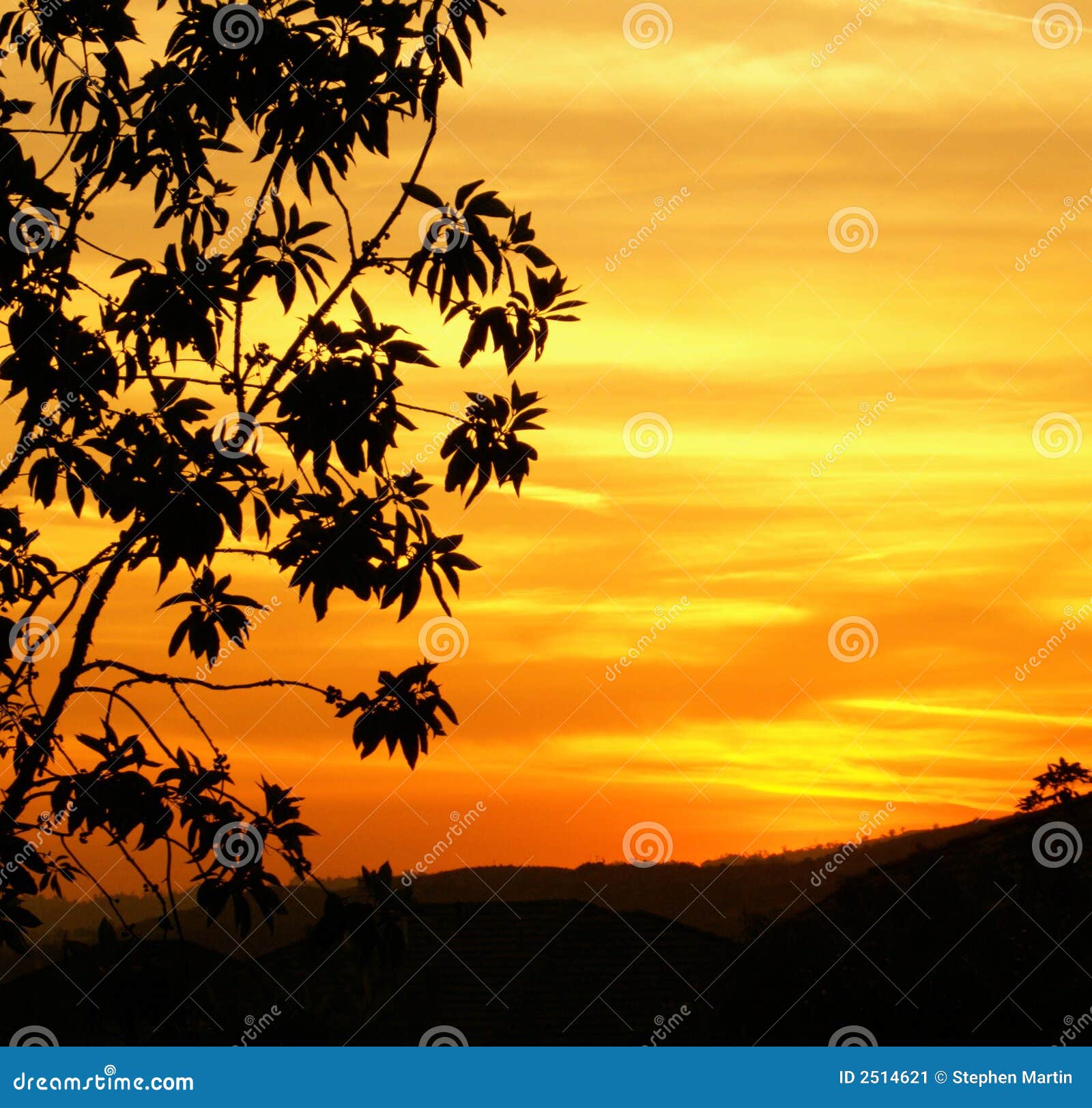 Sunset & Tree Silhouette Stock Image - Image of mountain, silhouette ...
