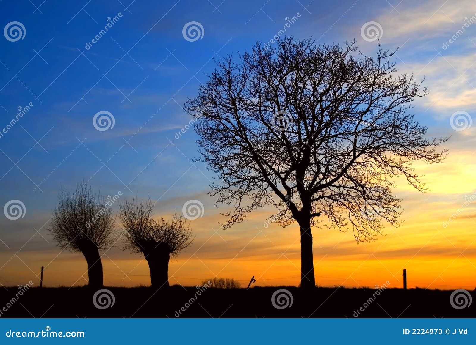 Sunset with trees stock photo. Image of scenery, landscape - 2224970