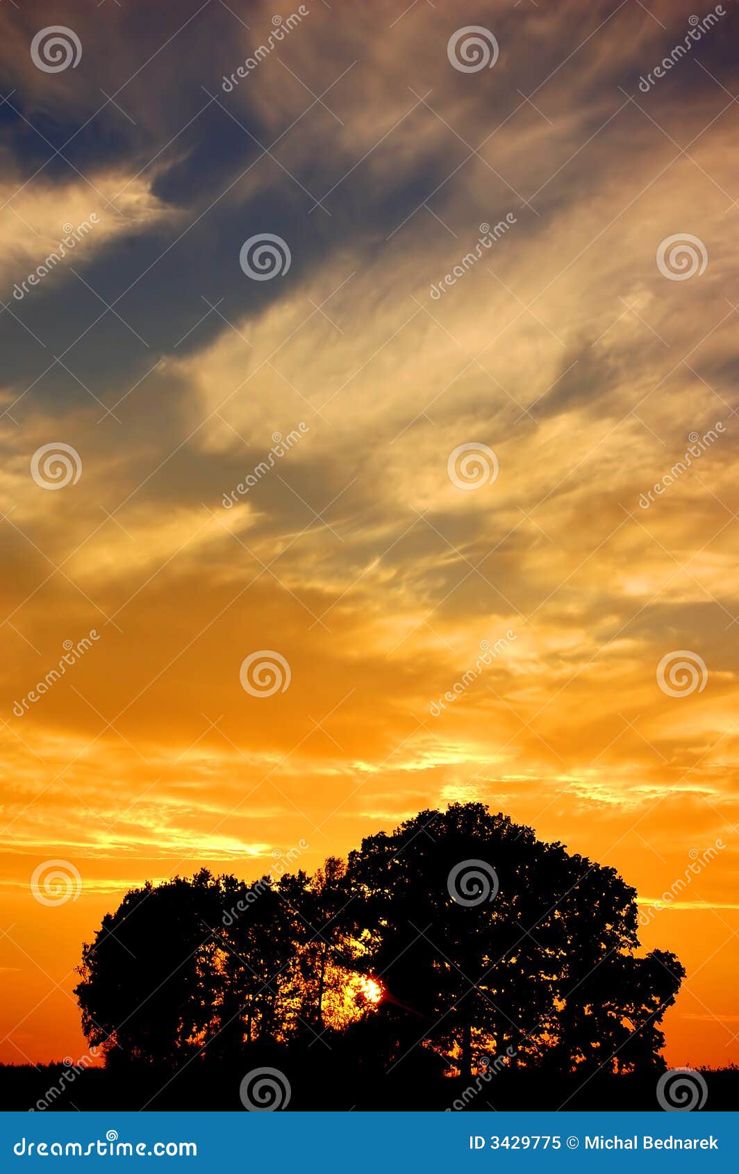 Sunset and trees stock image. Image of golden, meadow - 3429775