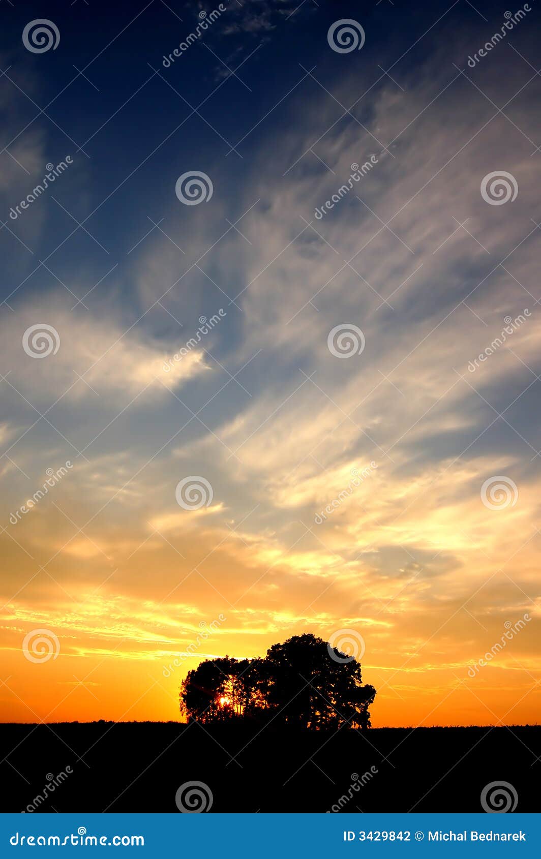 Sunset and trees stock photo. Image of agriculture, picturesque - 3429842