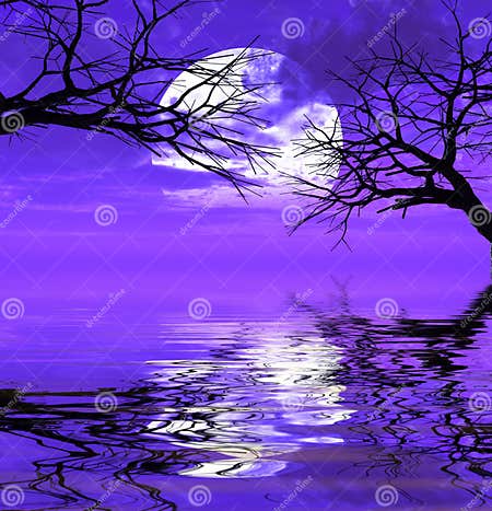 Sunset Trees stock illustration. Illustration of mirror - 5885454