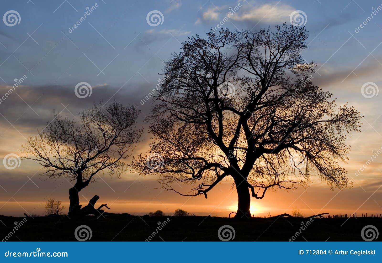 Sunset trees stock photo. Image of clouds, color, sunset - 712804