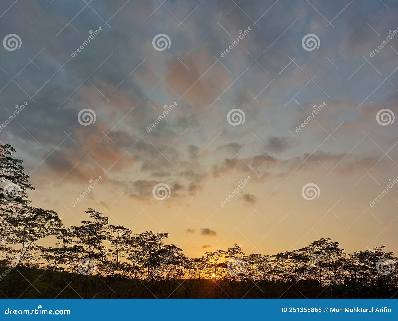 Sunset, with Trees, in the Evening with Natural Concept Stock Image ...