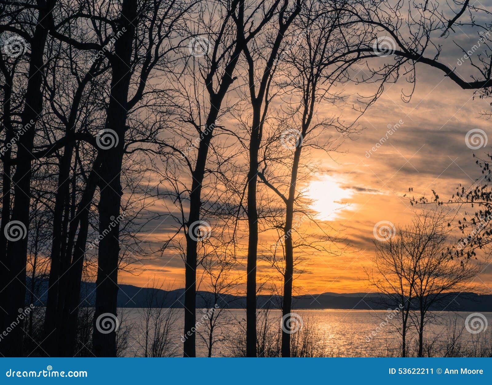 Sunset through Trees on Lake Stock Image - Image of mountains ...