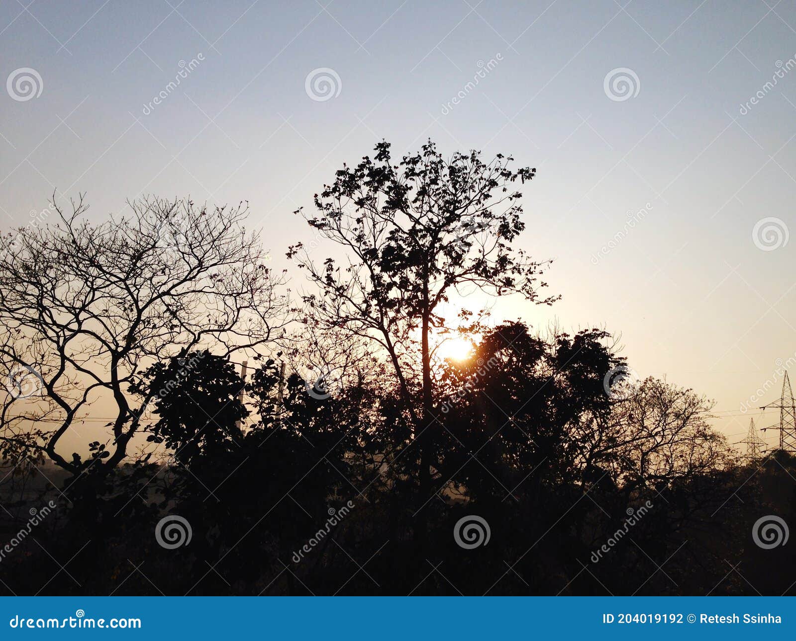 Sunset and trees landscape stock photo. Image of landscape - 204019192