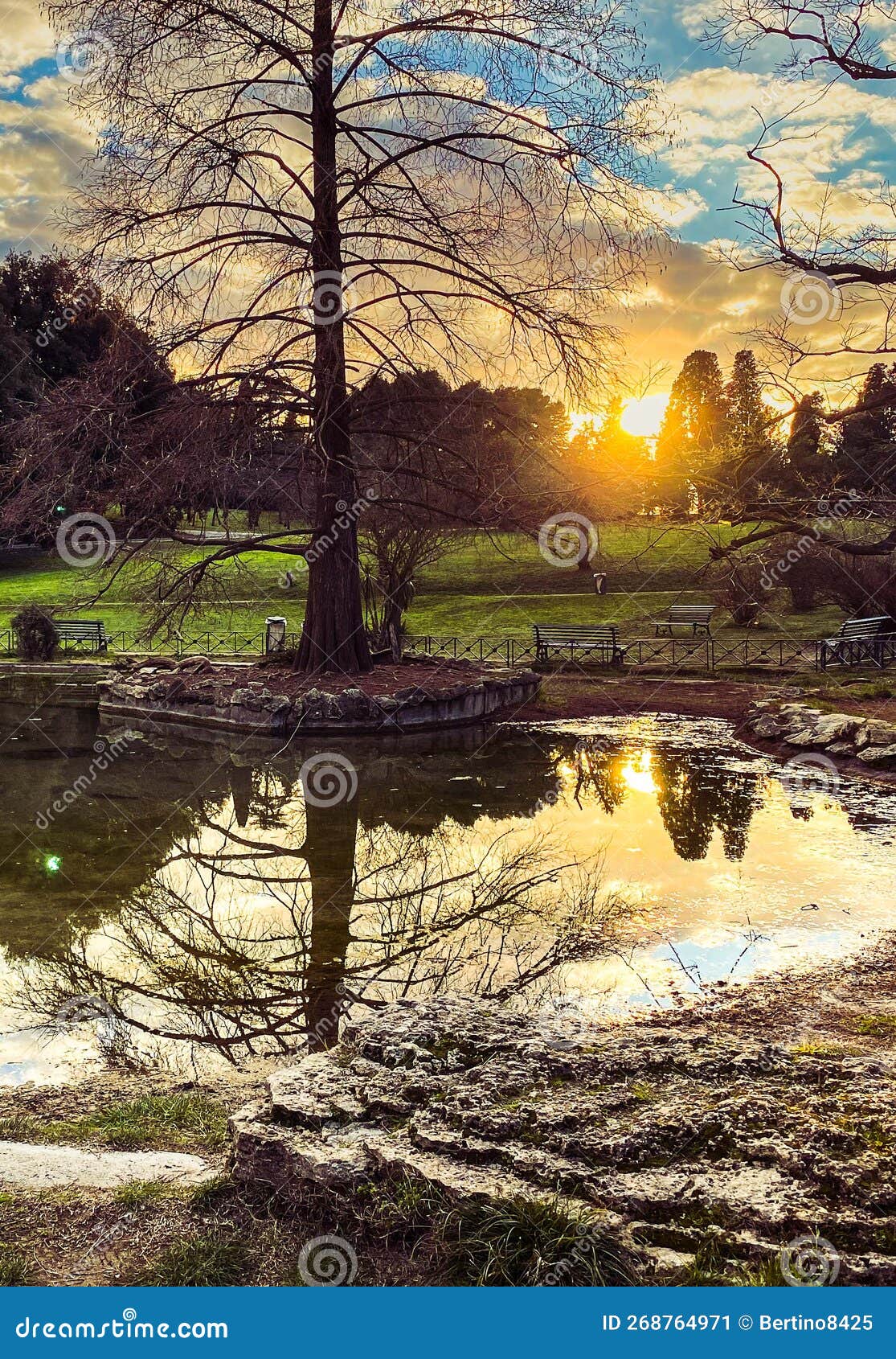 Sunset in the Trees with Reflection on the Lake Stock Image - Image of ...