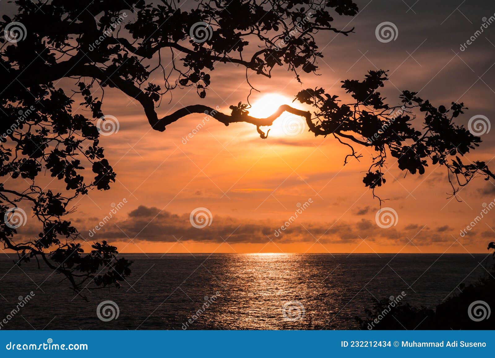 Sunset on Tropical Island with Silhouette of Tree Stock Photo - Image ...
