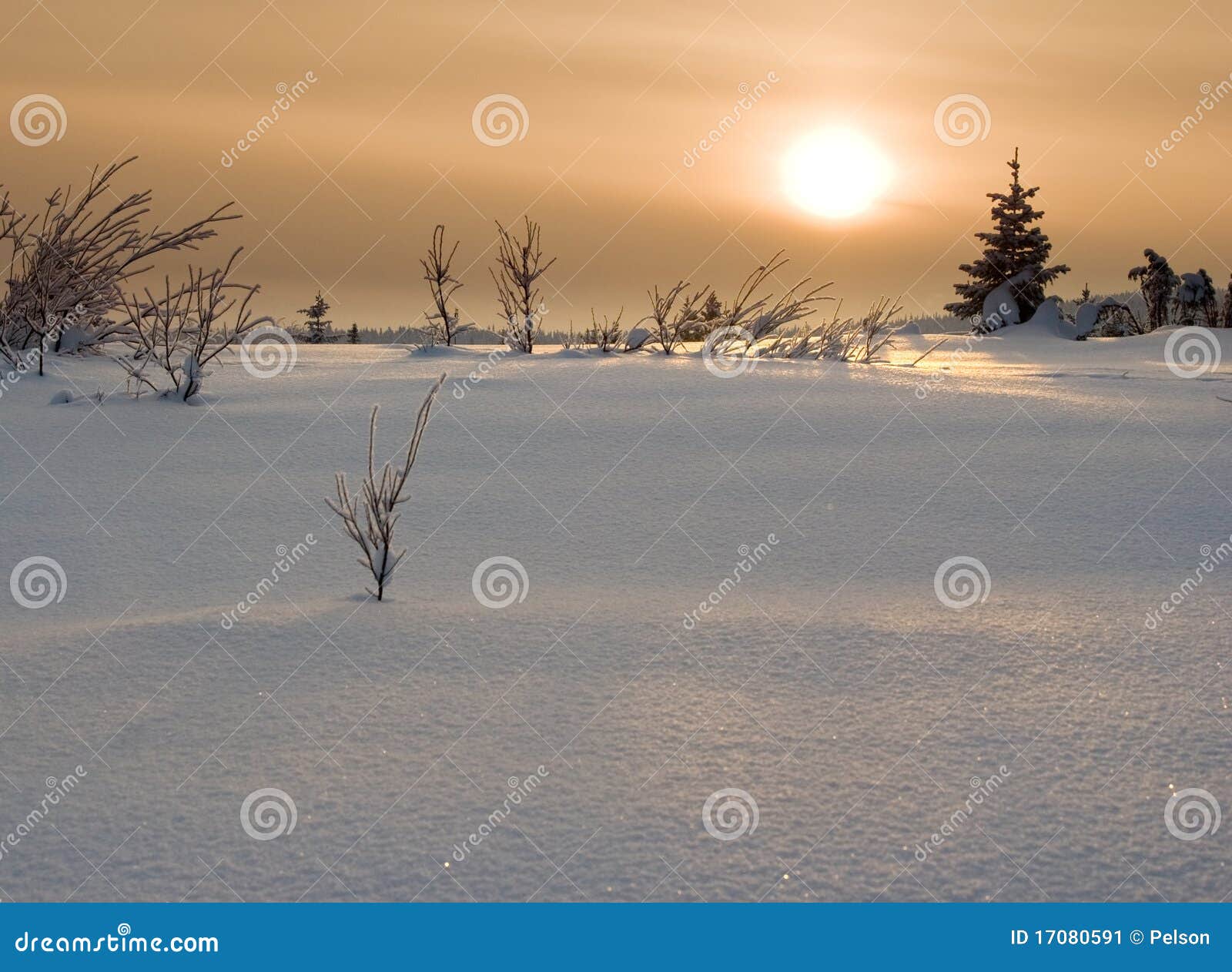 Sunset in tundra stock image. Image of cold, silver, forest - 17080591