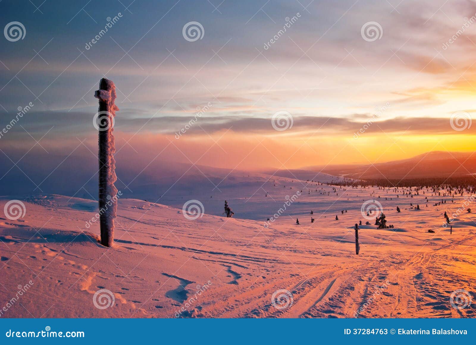 Sunset in the tundra stock image. Image of nature, frozen - 37284763
