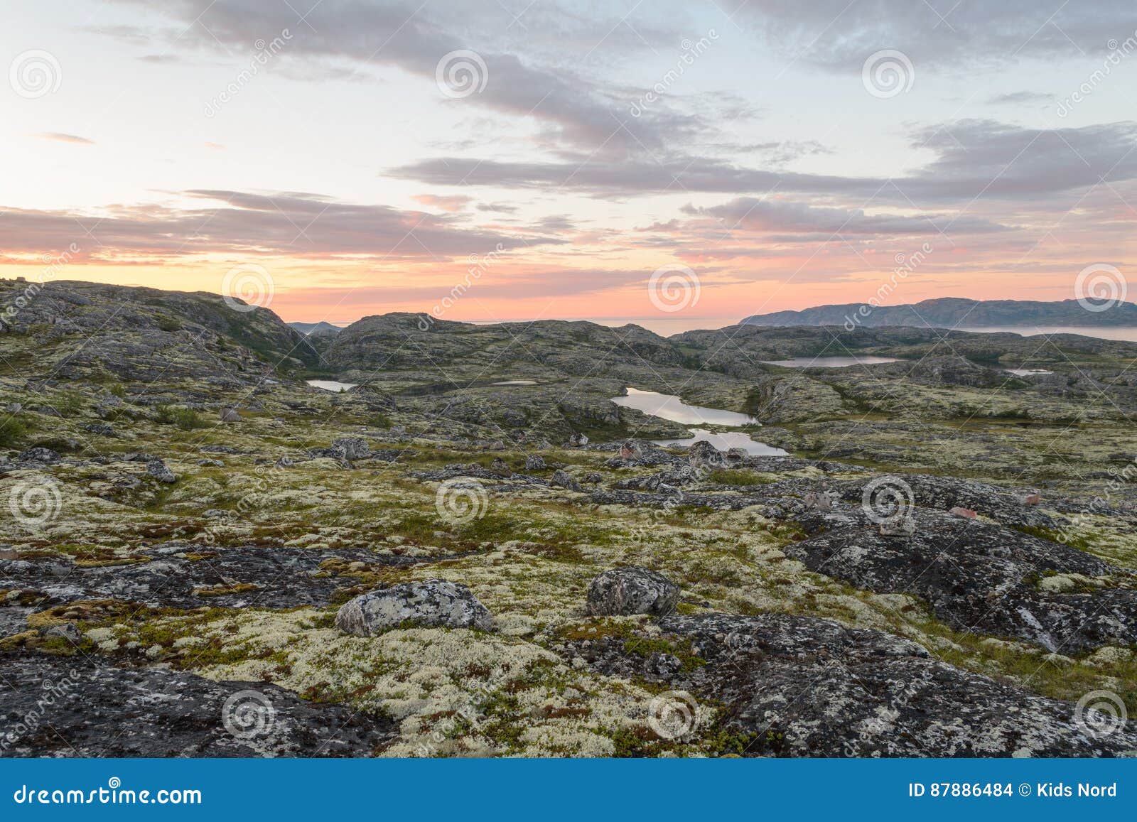 Sunset on the Tundra in the Summer. Stock Photo - Image of depth ...
