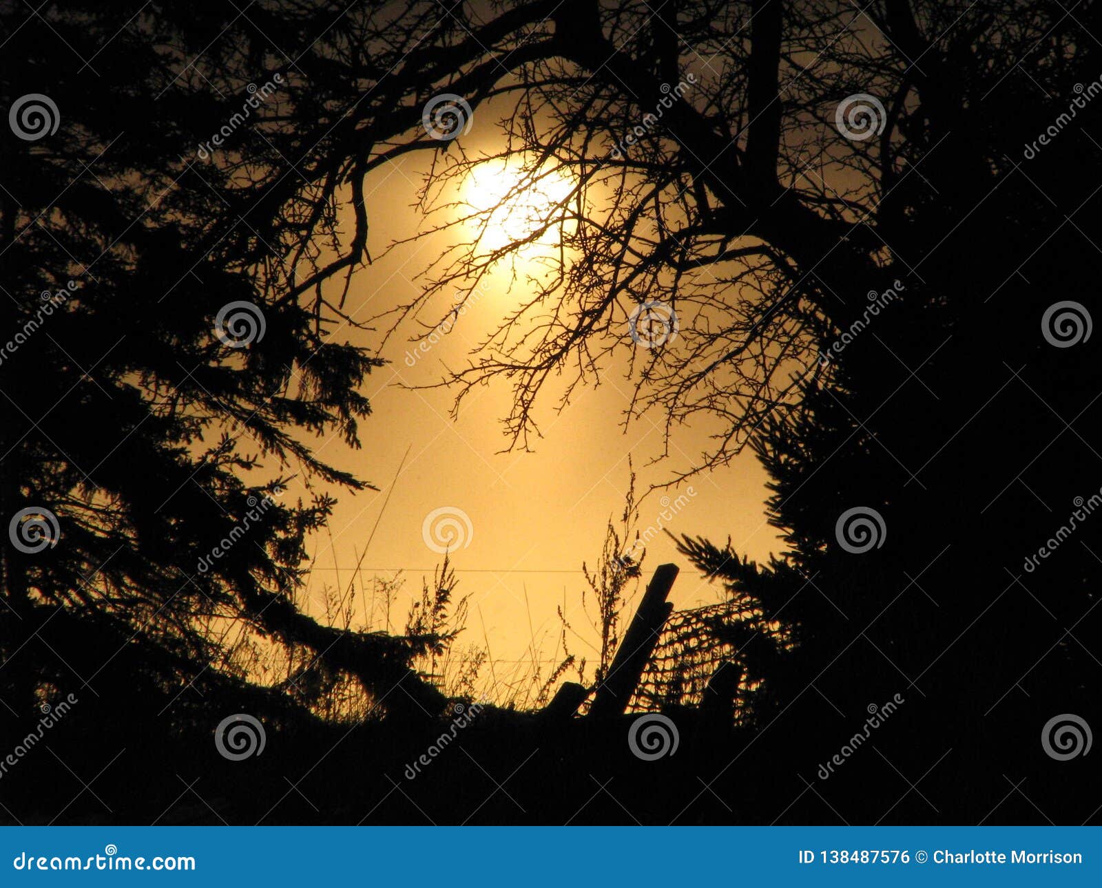 Sunset at twilight stock photo. Image of twilight, reaching - 138487576