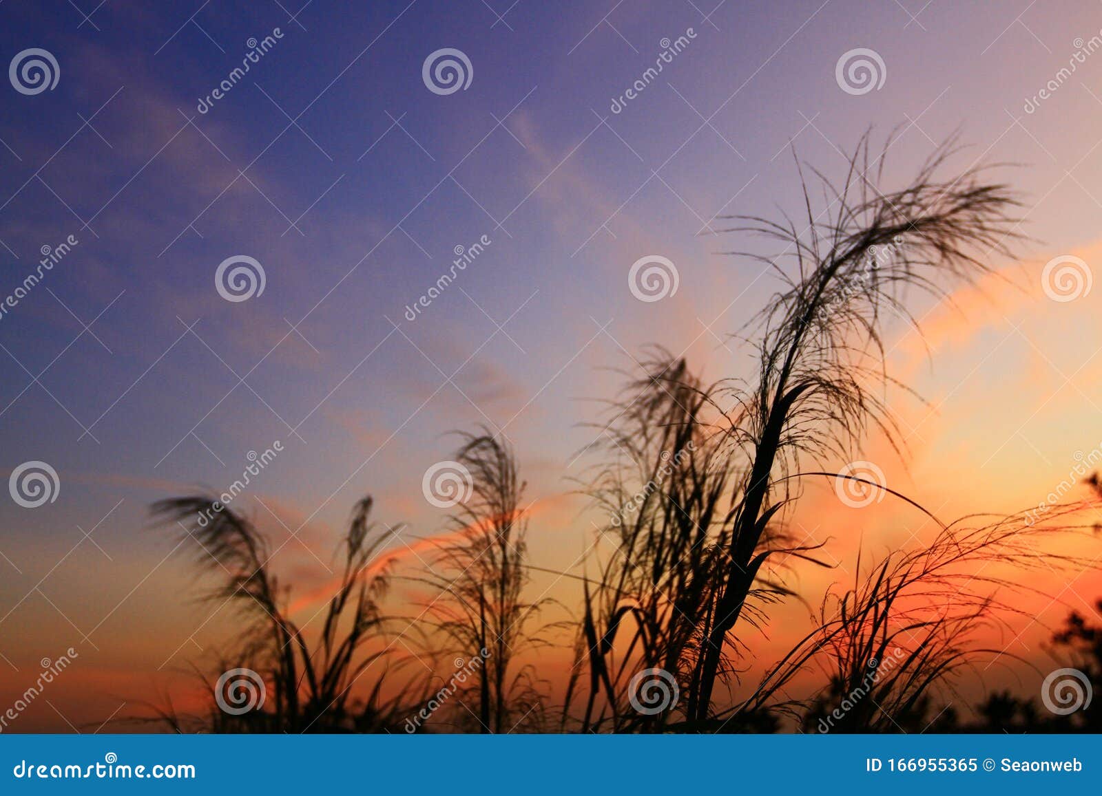 Sunset at the Twins 31 Oct 2009 Stock Image - Image of coast, nature ...