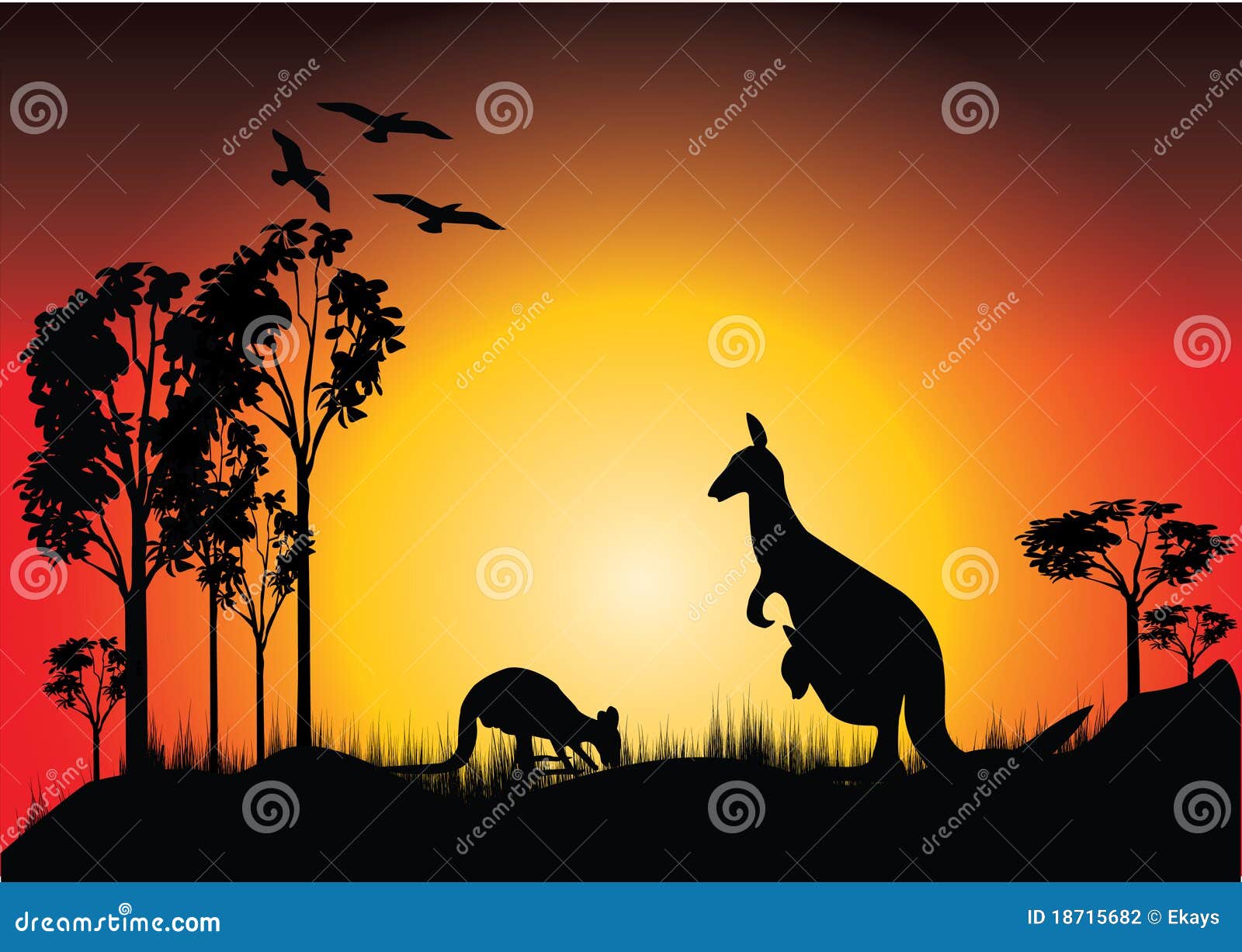 Sunset with two kangaroos stock vector. Illustration of silhouetted - 18715682