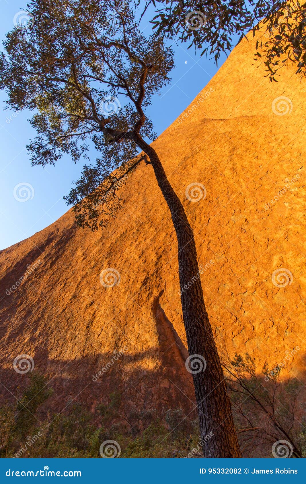 Uluru, Australian Symbol Editorial Image | CartoonDealer.com #22902642