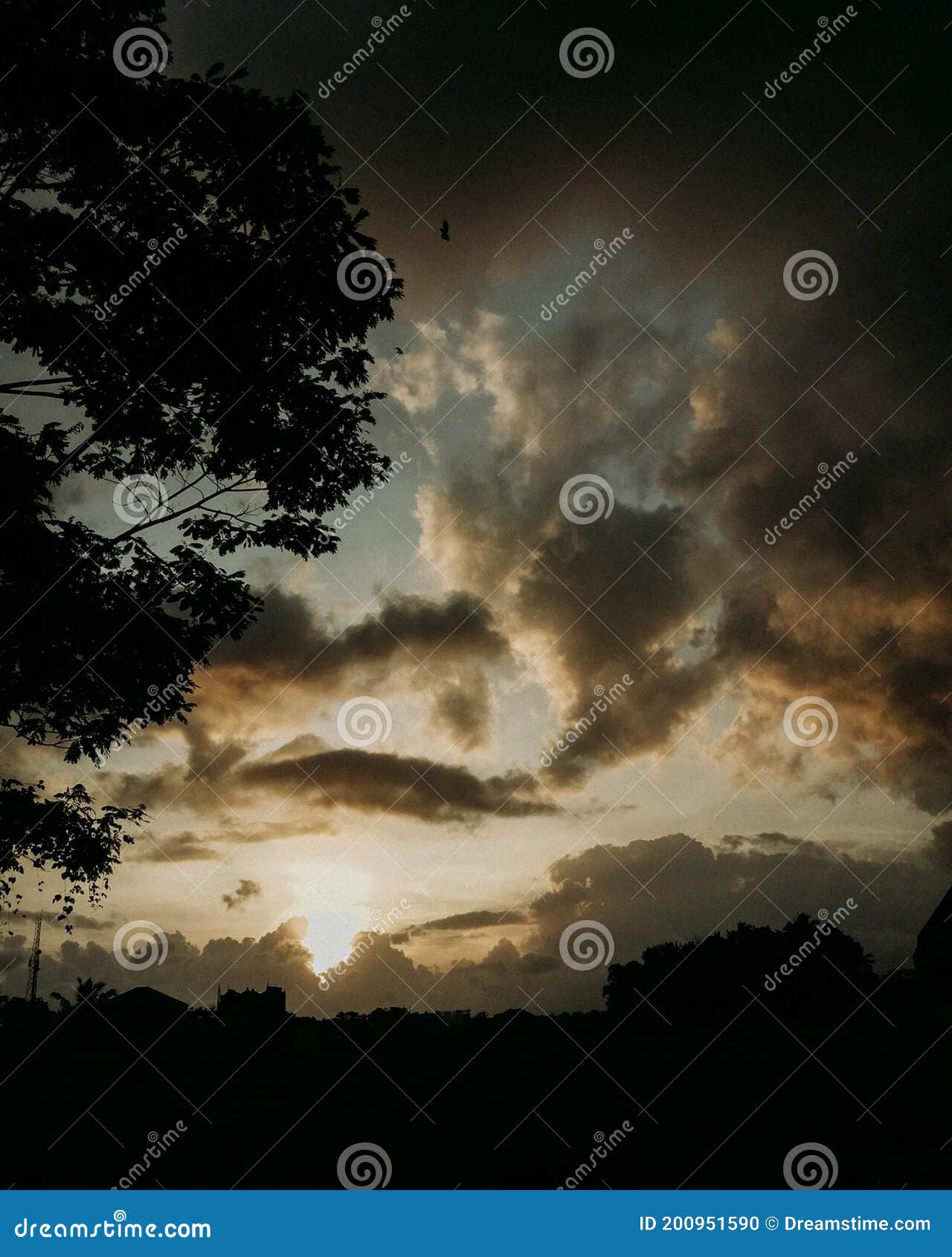 Sunset under the tree stock photo. Image of afterglow - 200951590