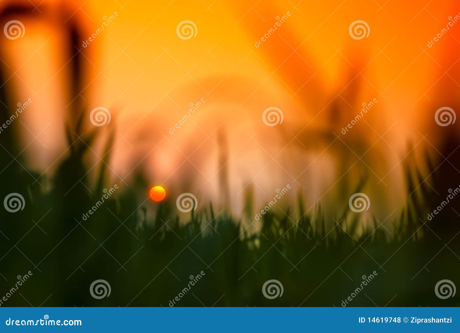 Sunset under trees stock photo. Image of landscape, away - 14619748