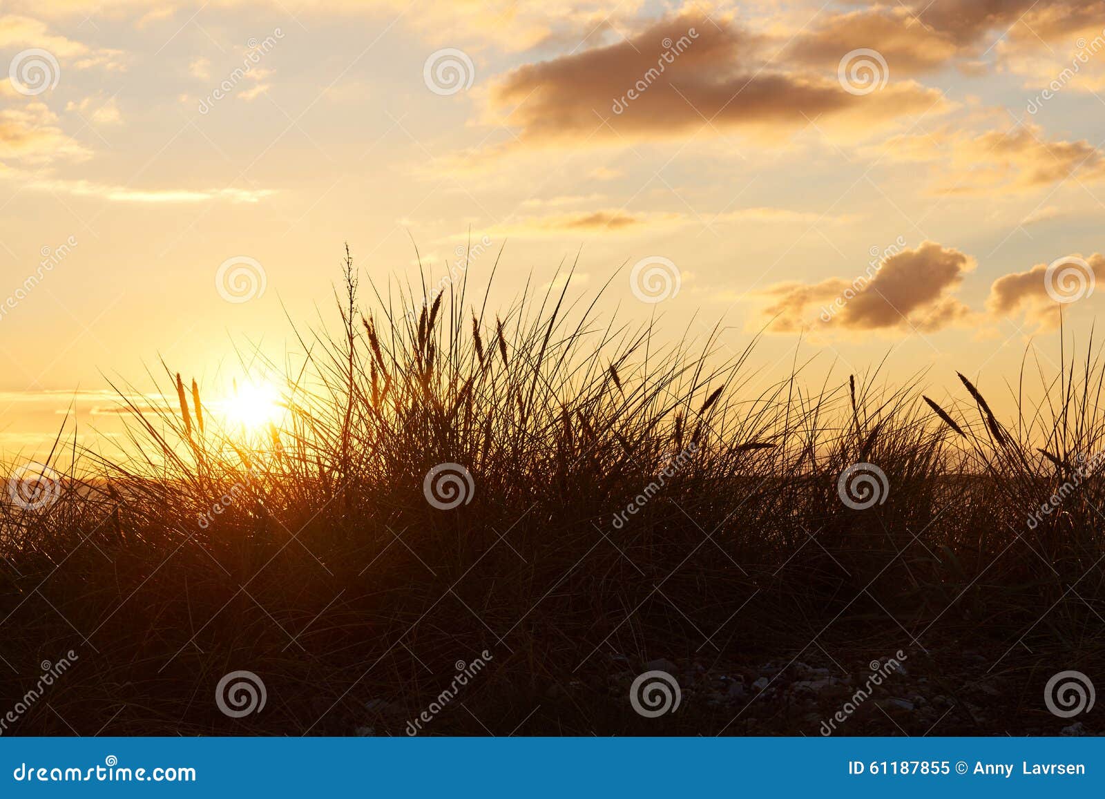 Sunset at Vadum Beach in Salling, Denmark - Series Stock Image - Image ...