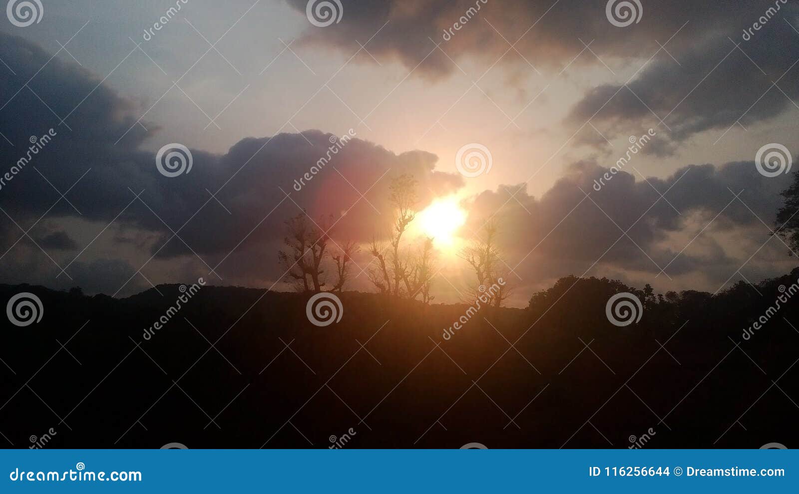 Sunset stock photo. Image of nice, beautiful, sunset - 116256644