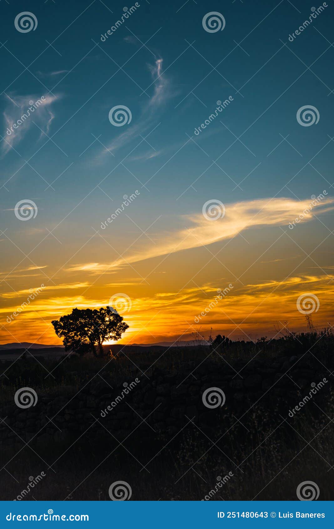 SUNSET with a VERY BLUE SKY and a TREE AS a SINGLE ELEMENT Stock Image ...