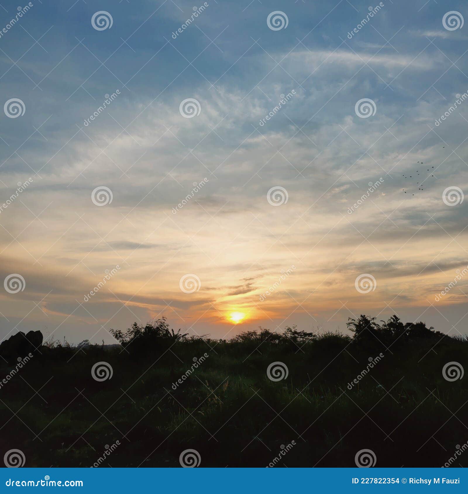 Sunset view at backyard stock photo. Image of nature - 227822354