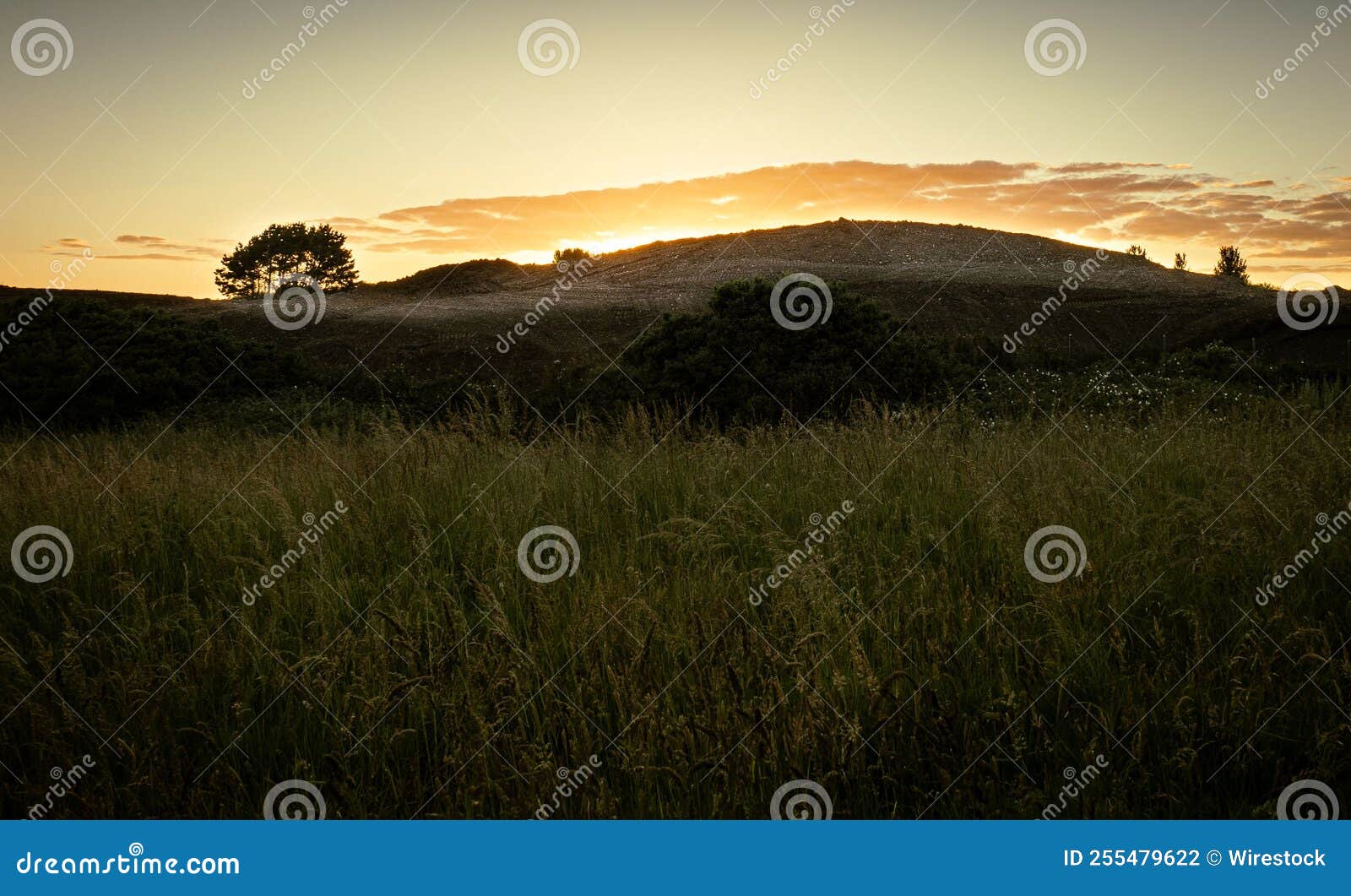 Sunset View Behind the Hill with Fields and Trees Stock Photo - Image ...