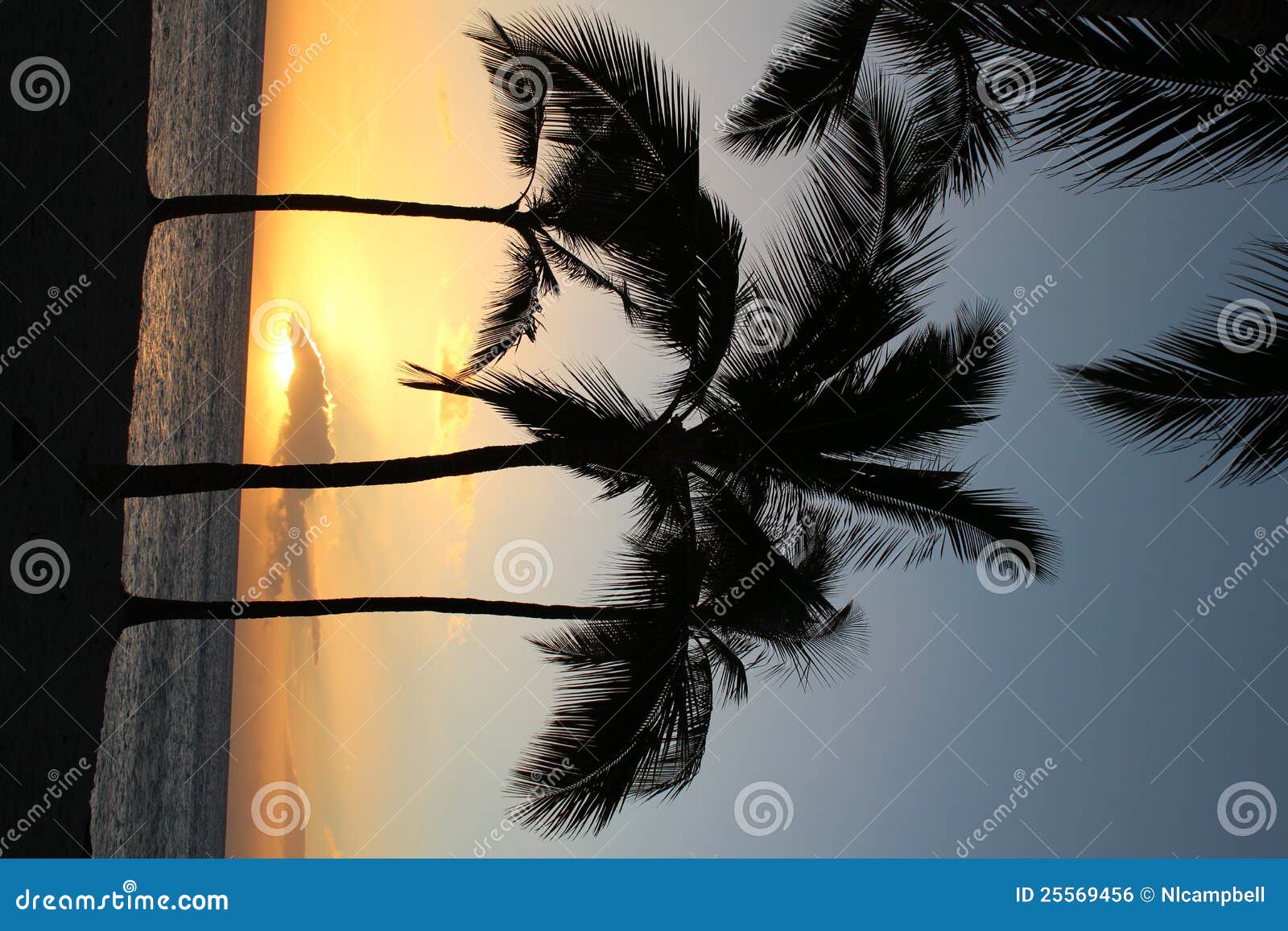 Sunset View from the Big Island of Hawaii Stock Photo - Image of palm ...