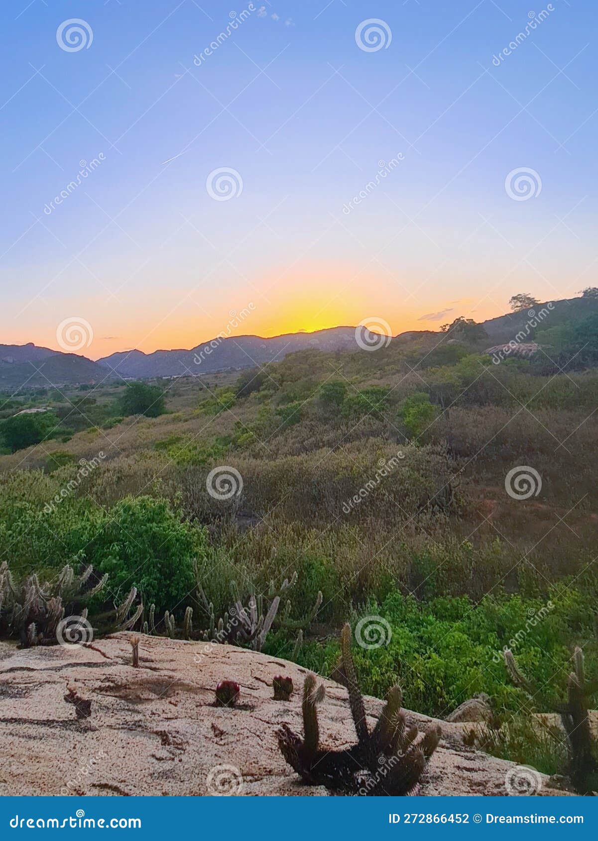 Sunset View in Brazilian Cerrado Stock Photo - Image of pathway ...