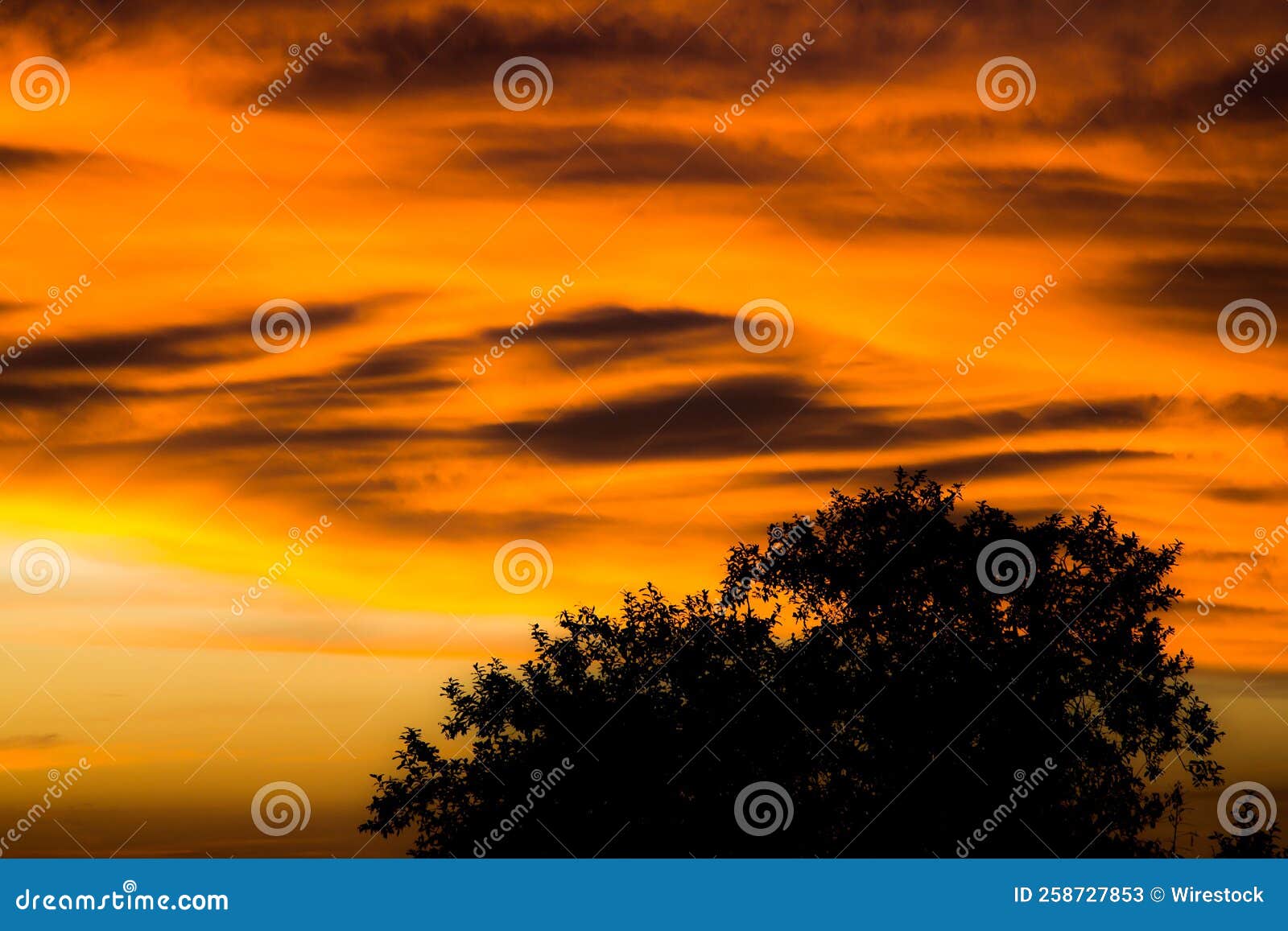 Sunset View with Clouds Resembling Fire in the Sky, Tree Silhouette ...