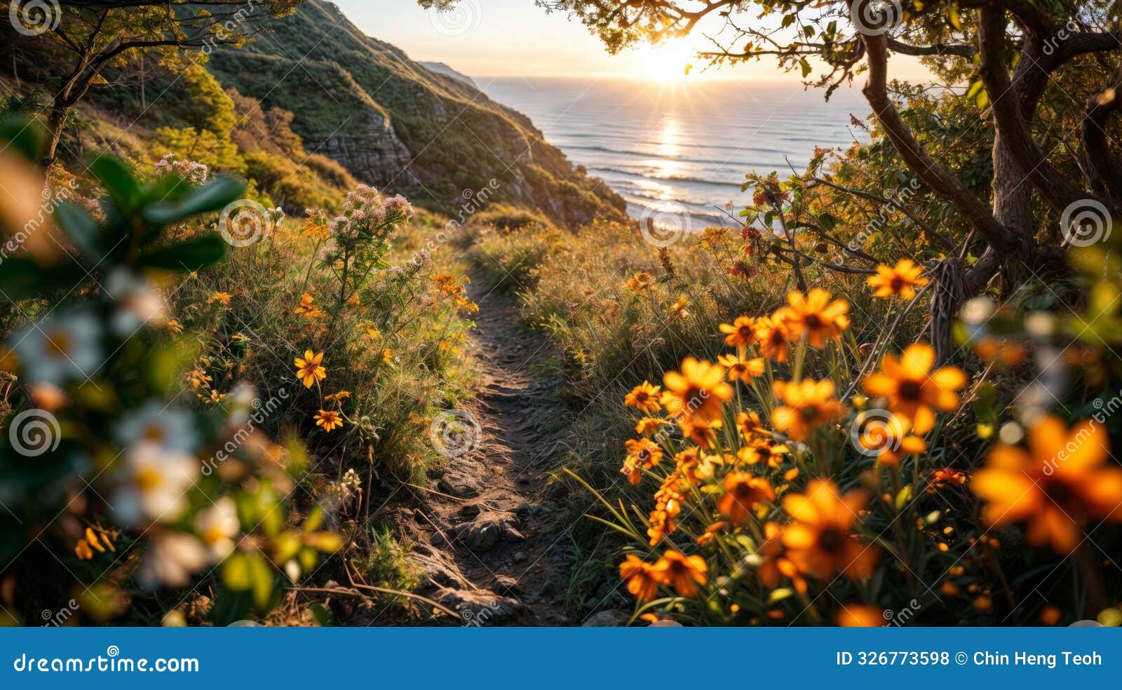 Sunset View of a Coastal Path with Wildflowers Stock Photo - Image of ...