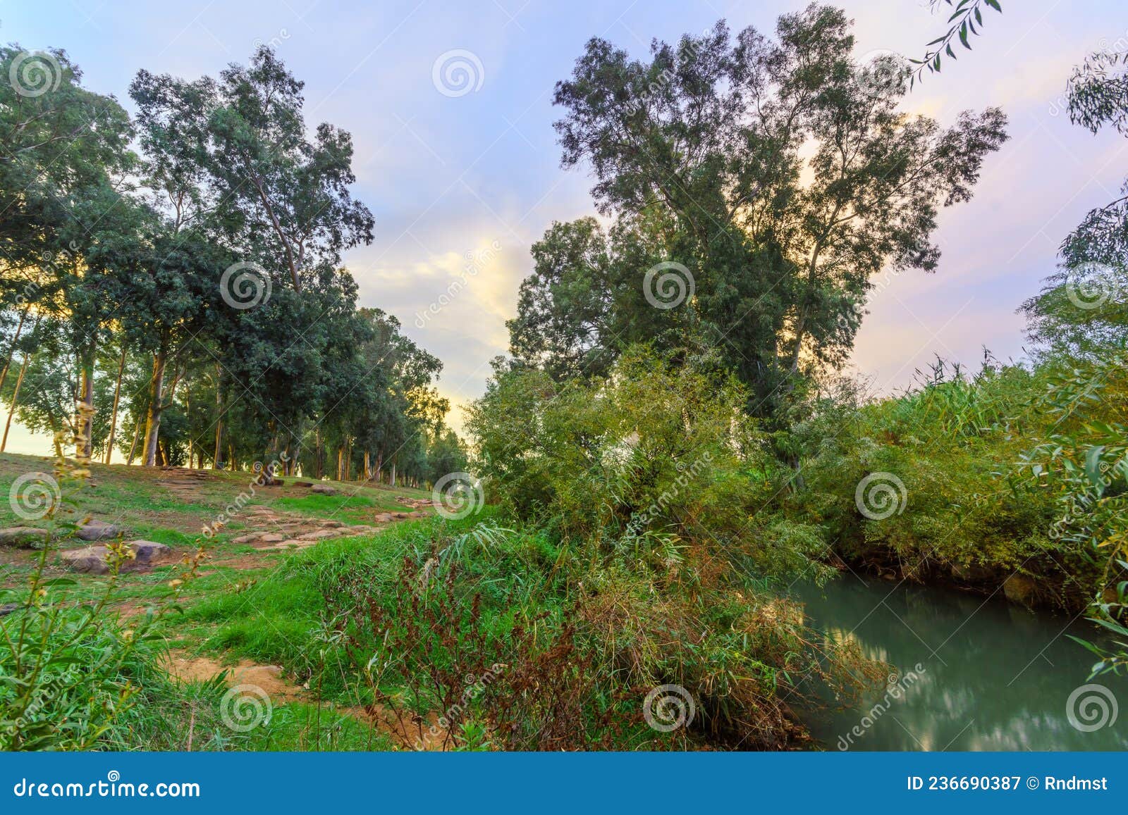 Sunset View of the Jordan River with Eucalyptus Trees Stock Image ...