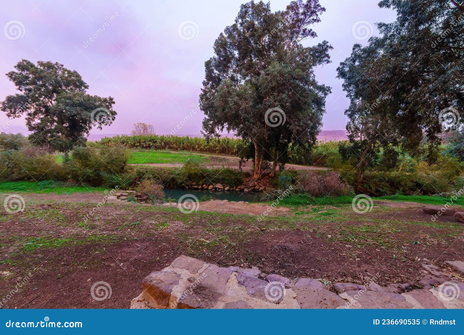Sunset View of the Jordan River with Eucalyptus Trees Stock Image ...