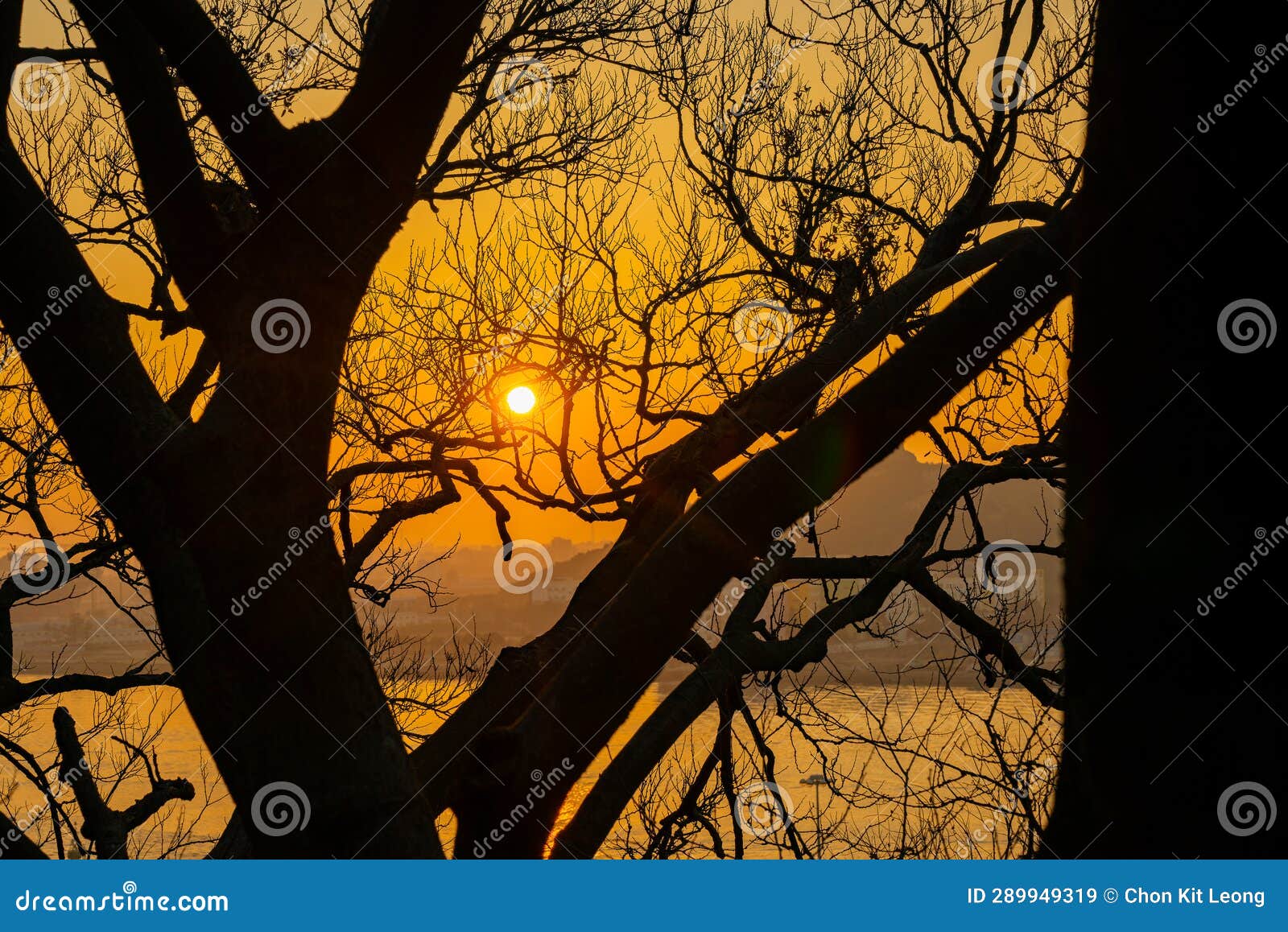 Sunset View of Landscape with Tree Shadow and Sun Stock Image - Image ...