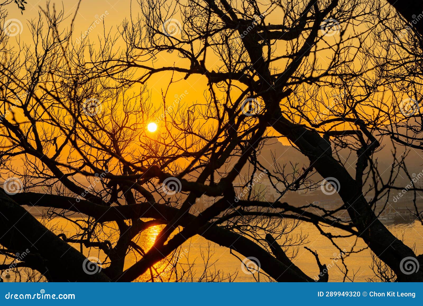 Sunset View of Landscape with Tree Shadow and Sun Stock Photo - Image ...