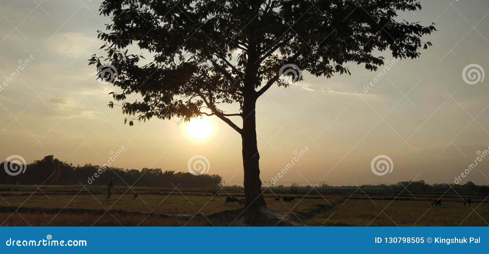 Sunset View stock image. Image of like, view, sunset - 130798505
