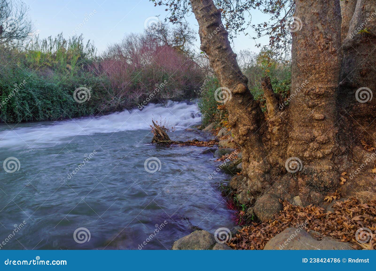 Sunset View of the Origin Point of the Jordan River Stock Photo - Image ...