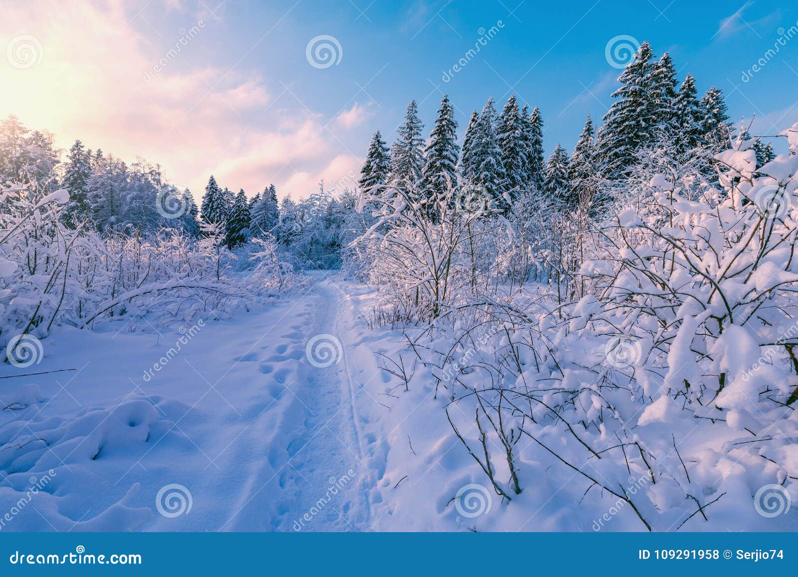 Sunset view of the path. stock photo. Image of outdoor - 109291958