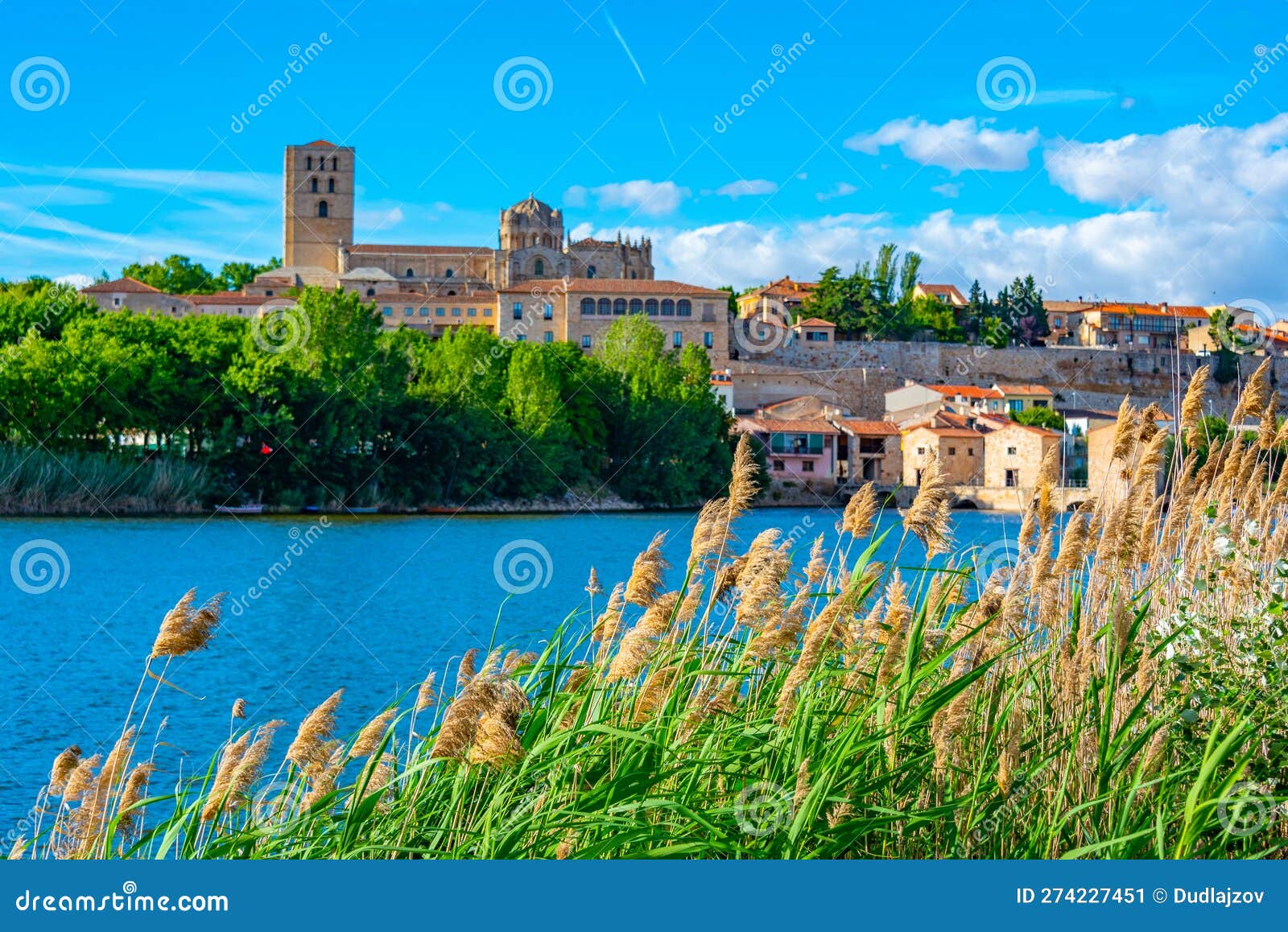 Sunset View of the Riverside of Douro in Zamora, Spain Stock Image ...
